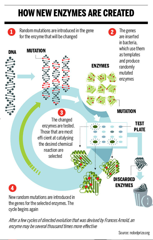 Design By Directed Evolution - Design Talk